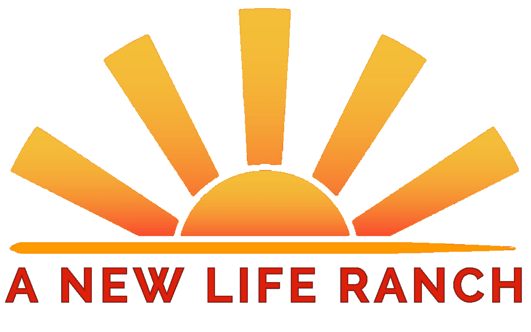 About Us - A New Life Ranch